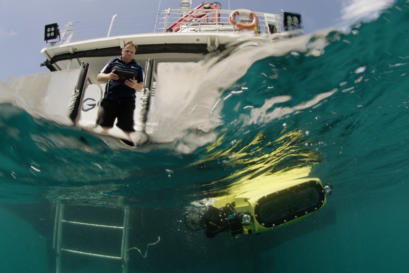 RangerBot, un robot programado para matar estrellas de mar y proteger ...