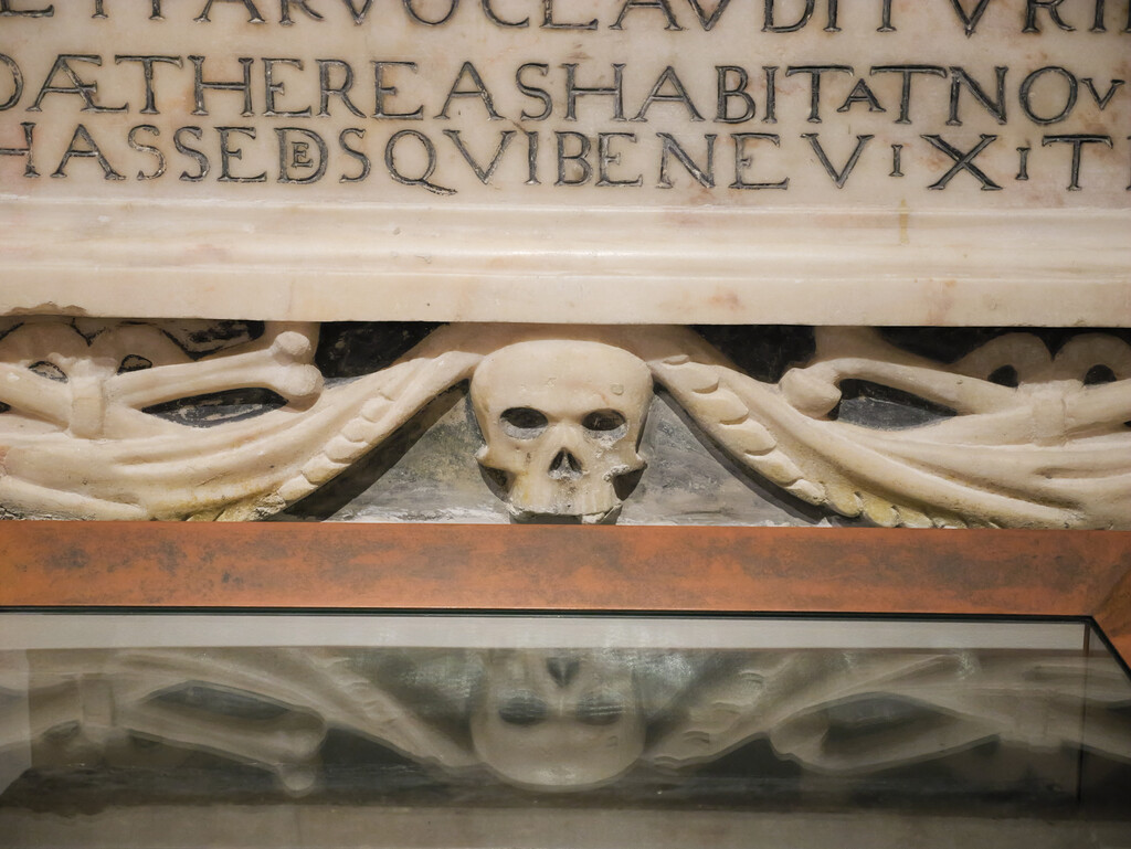 Panasonic GH6, análisis: características, precio y especificaciones