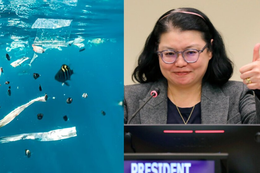 Un tratado realmente histórico: tras 17 años de negociaciones, hemos ...