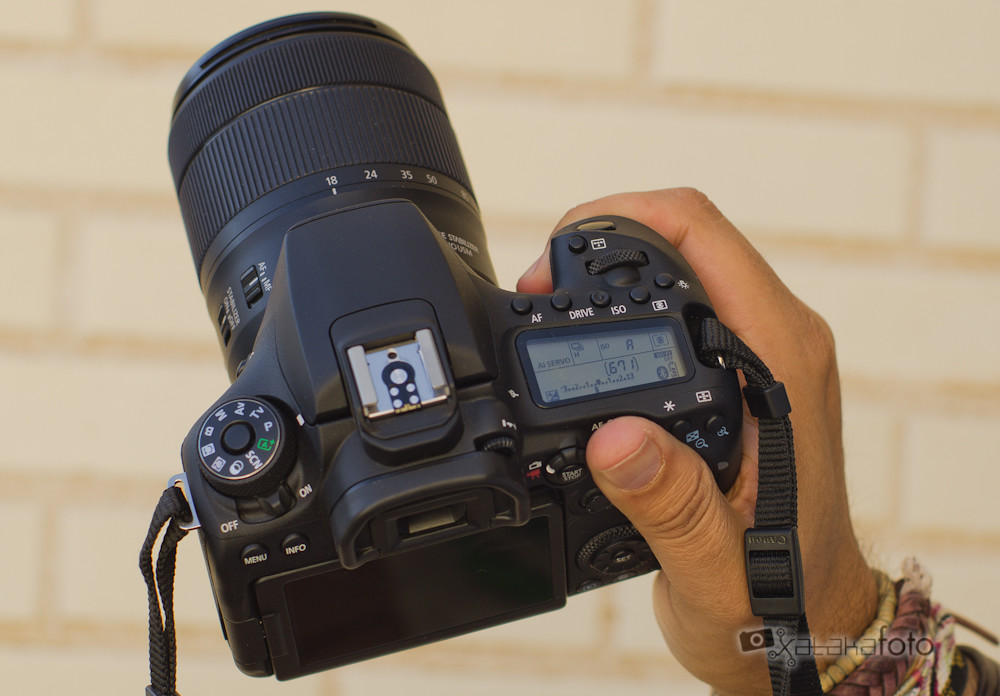 Canon EOS 90D, análisis: review con características, precio y ...
