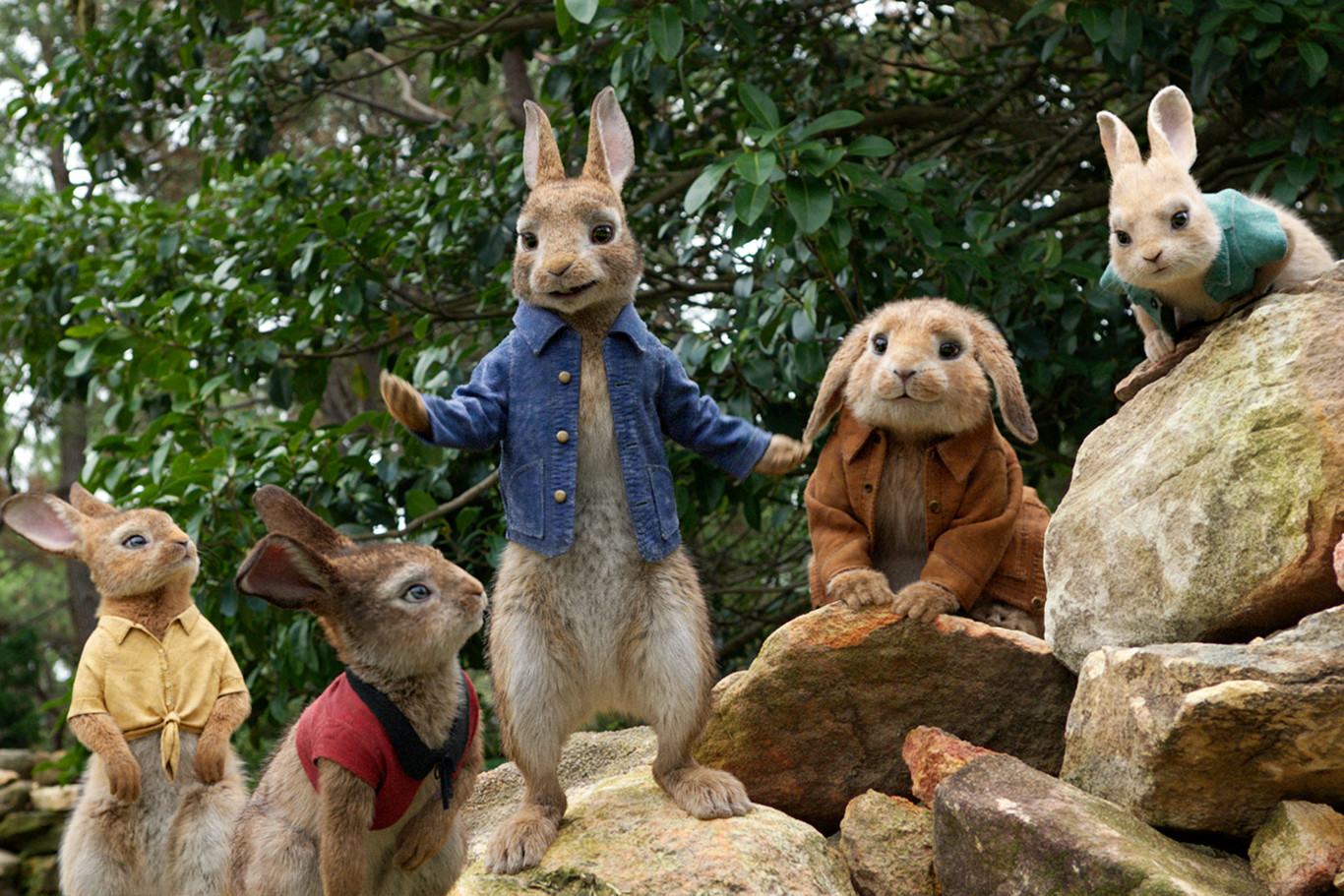 Peter Rabbit (2018) crítica: un divertimento infantil que no olvida al ...