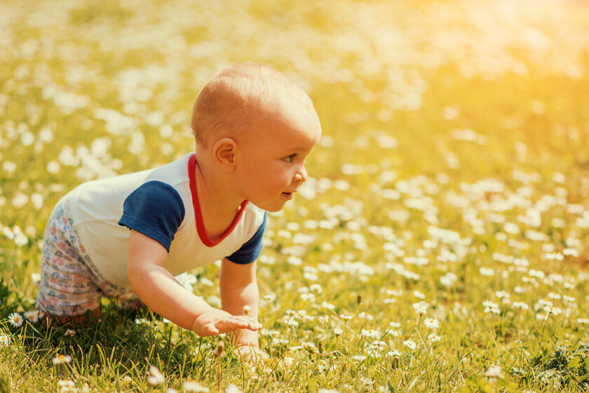 ¿A qué edad aprende el bebé a gatear y qué hacer si no gatea?