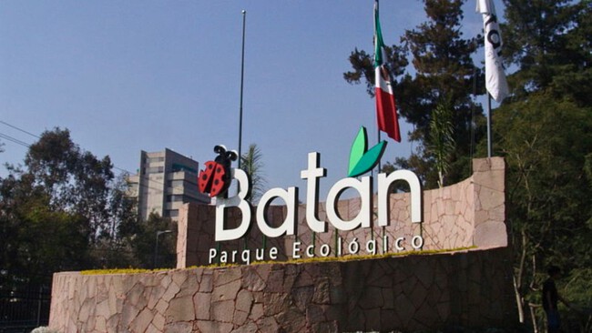 Qué hacer en el Parque El Batán, al sur de la CDMX: hay areneros ...