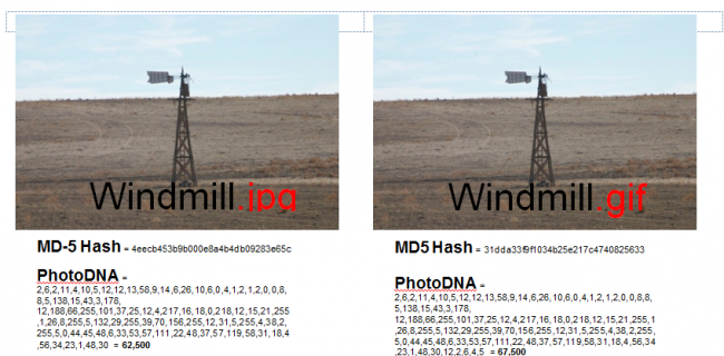 PhotoDNA: Google y Microsoft escanean tu correo en busca de pornografía ...