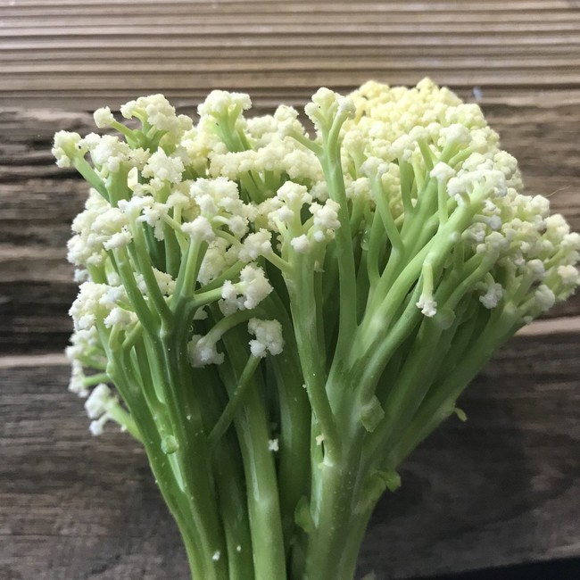 Caulilini, caulini o coliflor baby la nueva variedad que conquista a ...