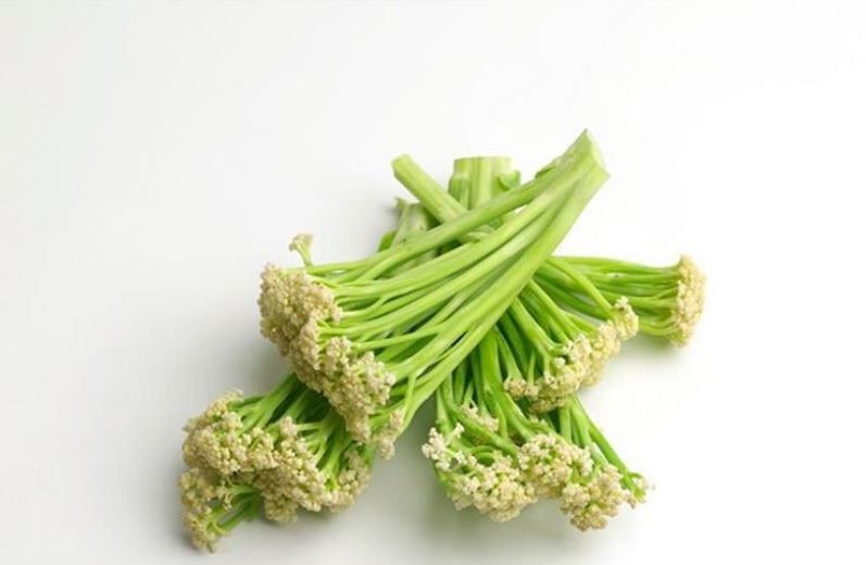 Caulilini, caulini o coliflor baby la nueva variedad que conquista a ...