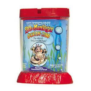 ¿Qué son realmente los "Sea Monkeys"?