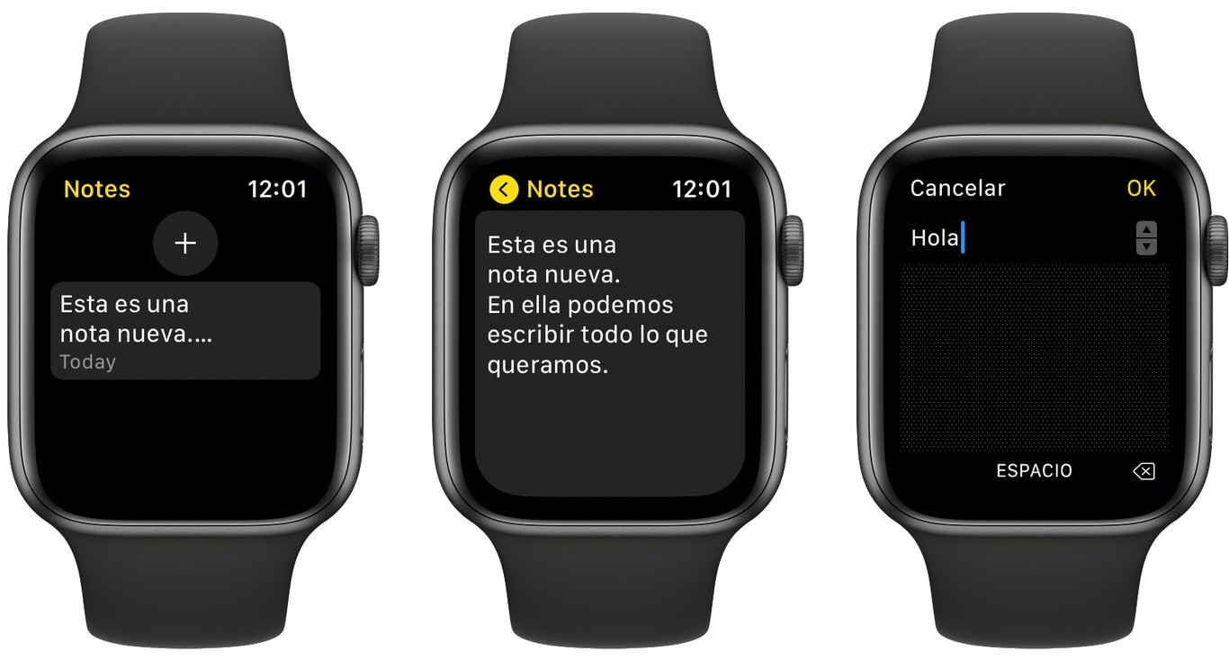 La app Watch Notes, con la que podemos tomar notas con nuestro Apple ...