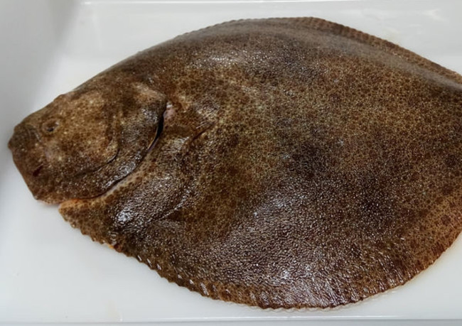 Las mejores recetas de rodaballo: cocina casera, fácil y tradicional de ...