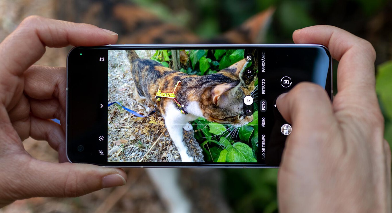 Asus Zenfone 9, análisis: review con características, precio y ...