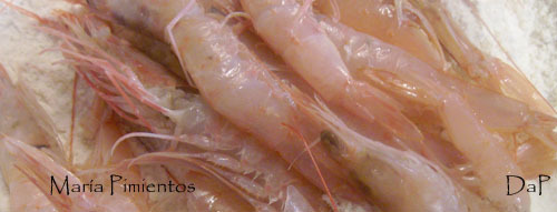 Pescado o "pescaito" frito con ensalada. Receta