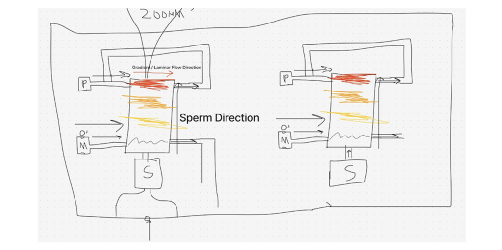 Startup Is Planning World’s First Sperm Race in Los Angeles: ‘[It] Isn ...