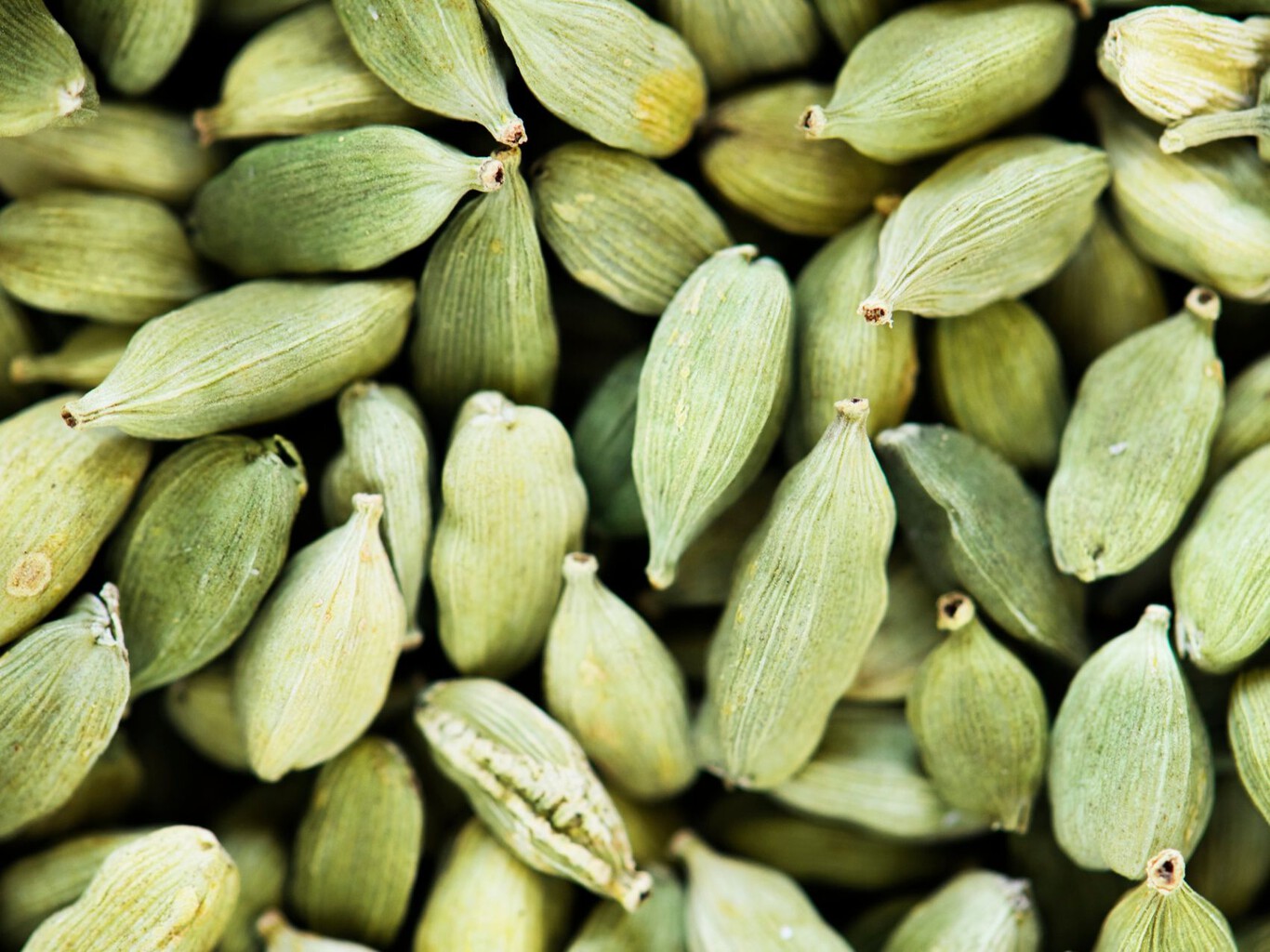 Cardamomo, la reina de las especias: qué es, cuáles son sus propiedades ...