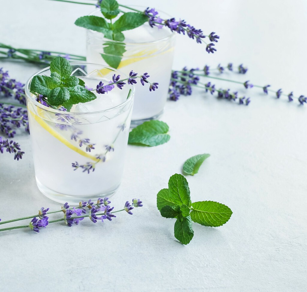 Cómo hacer limonada de lavanda. Receta fácil y rápida para reducir la ...