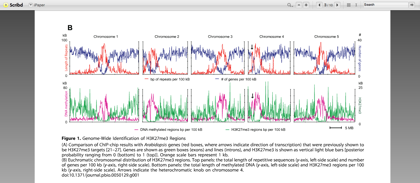 iPaper, o como incrustar ficheros de Scribd