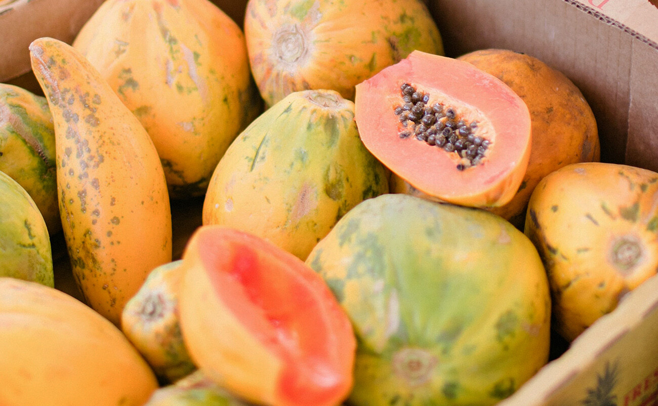 Todo sobre la papaya, carnosa y digestiva fruta tropical: propiedades ...