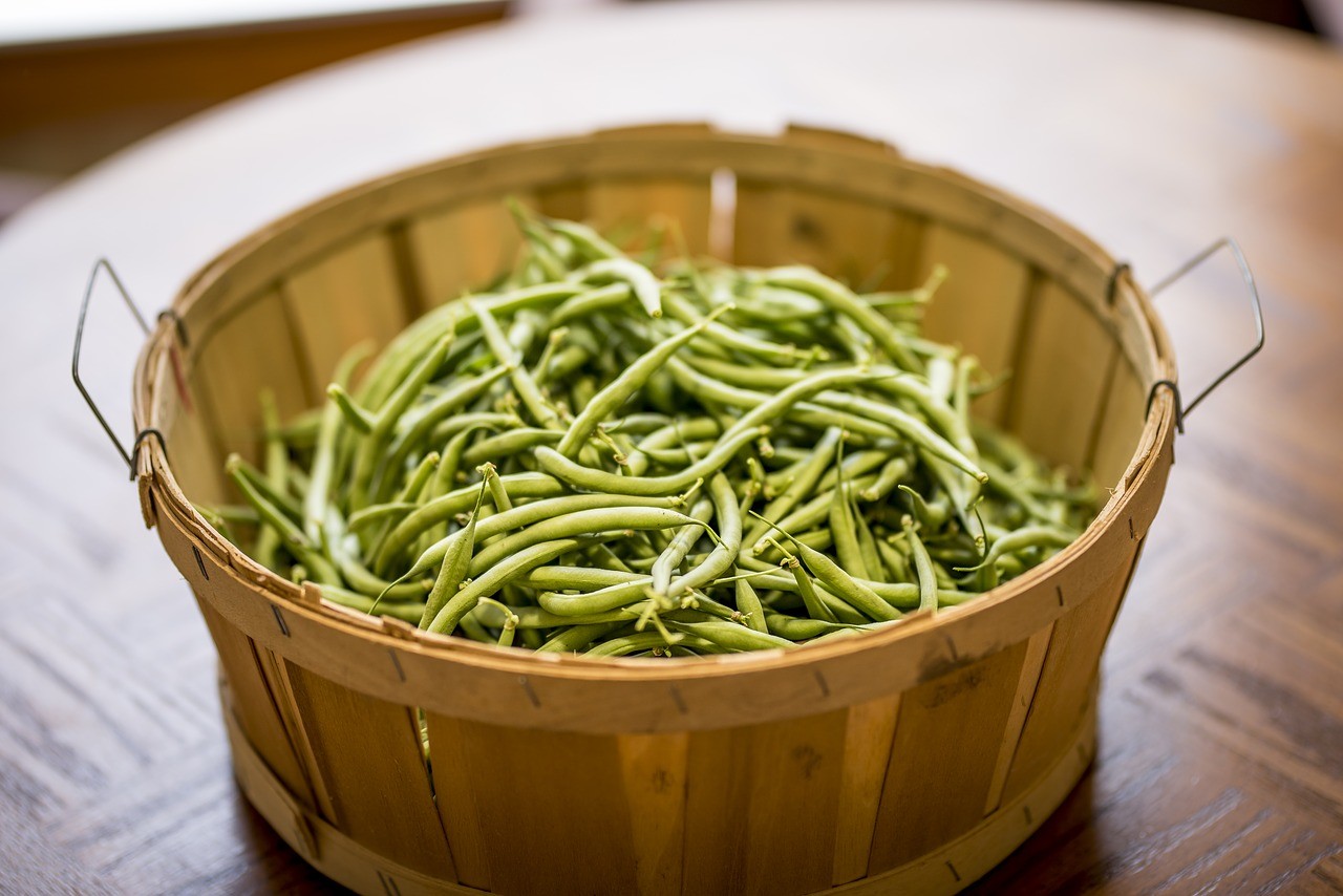 Las mejores recetas con judías verdes