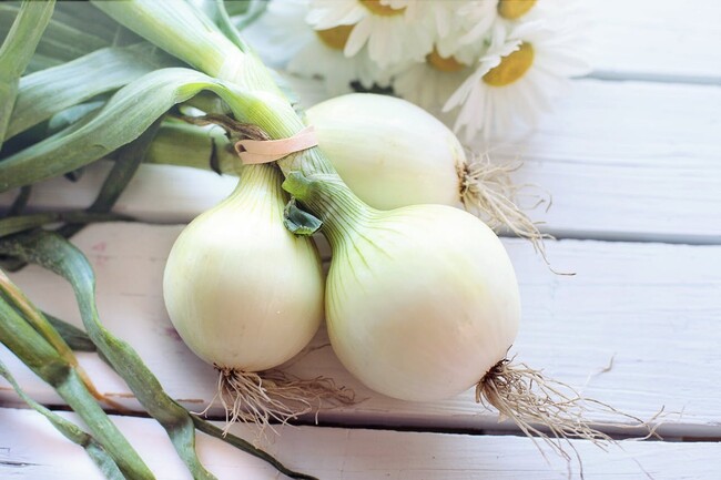 Sabías que puedes saber los beneficios de frutas y verduras por su ...
