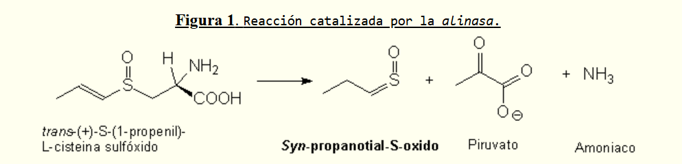Este truco está avalado por la ciencia y es la forma definitiva para no ...