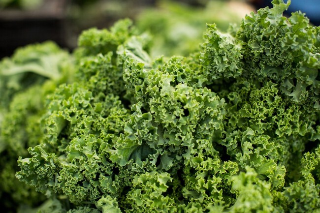5 técnicas esenciales para preparar y cocinar kale o col rizada para ...