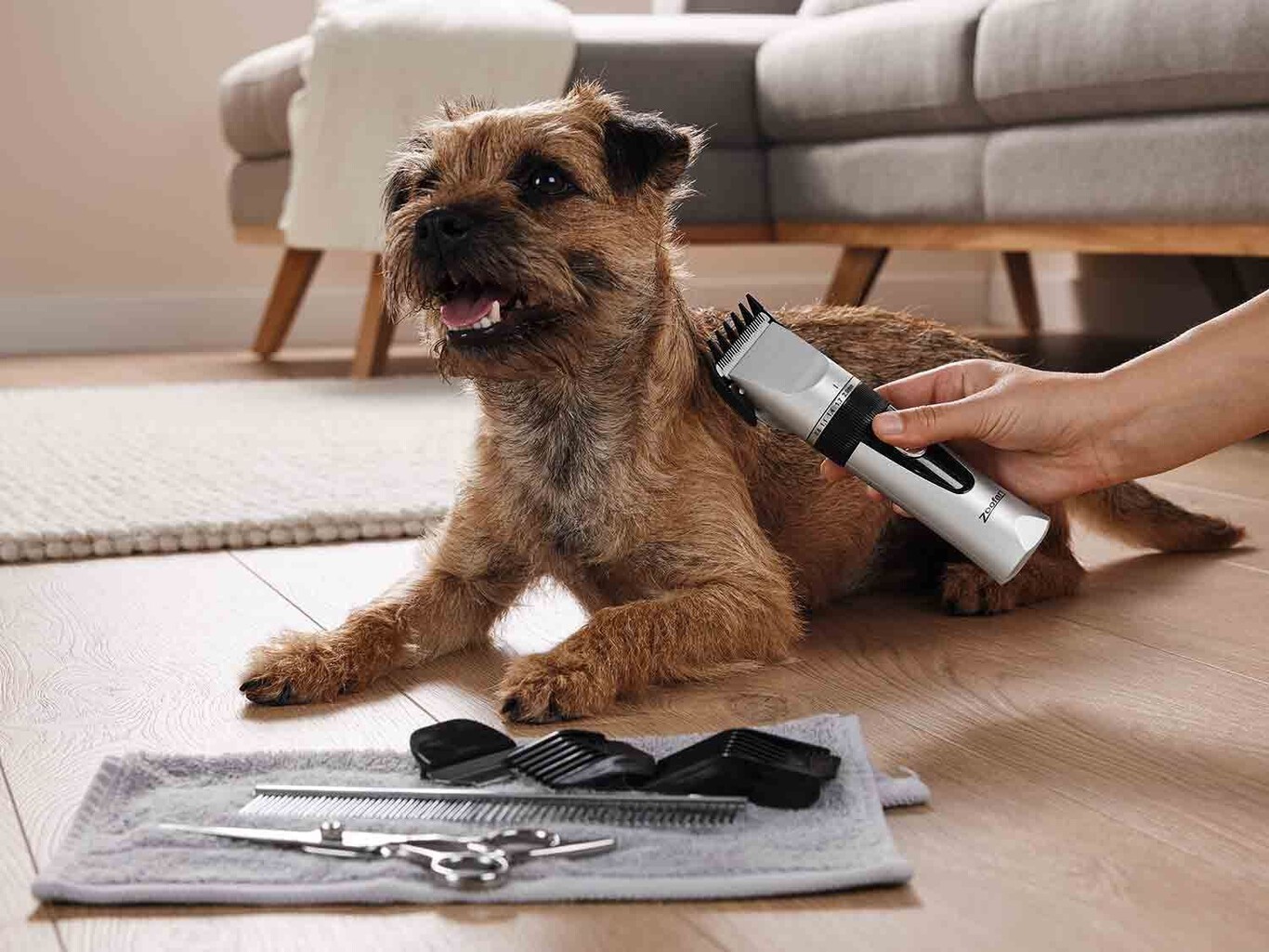 El accesorio para perros de Lidl que te va a ahorrar muchas visitas a ...