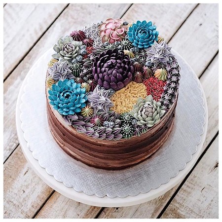 Terrarios comestibles, tan bonitos que no te los querrás comer