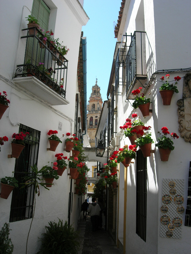 Estas son las 17 calles más bellas del mundo, por las que nos ...