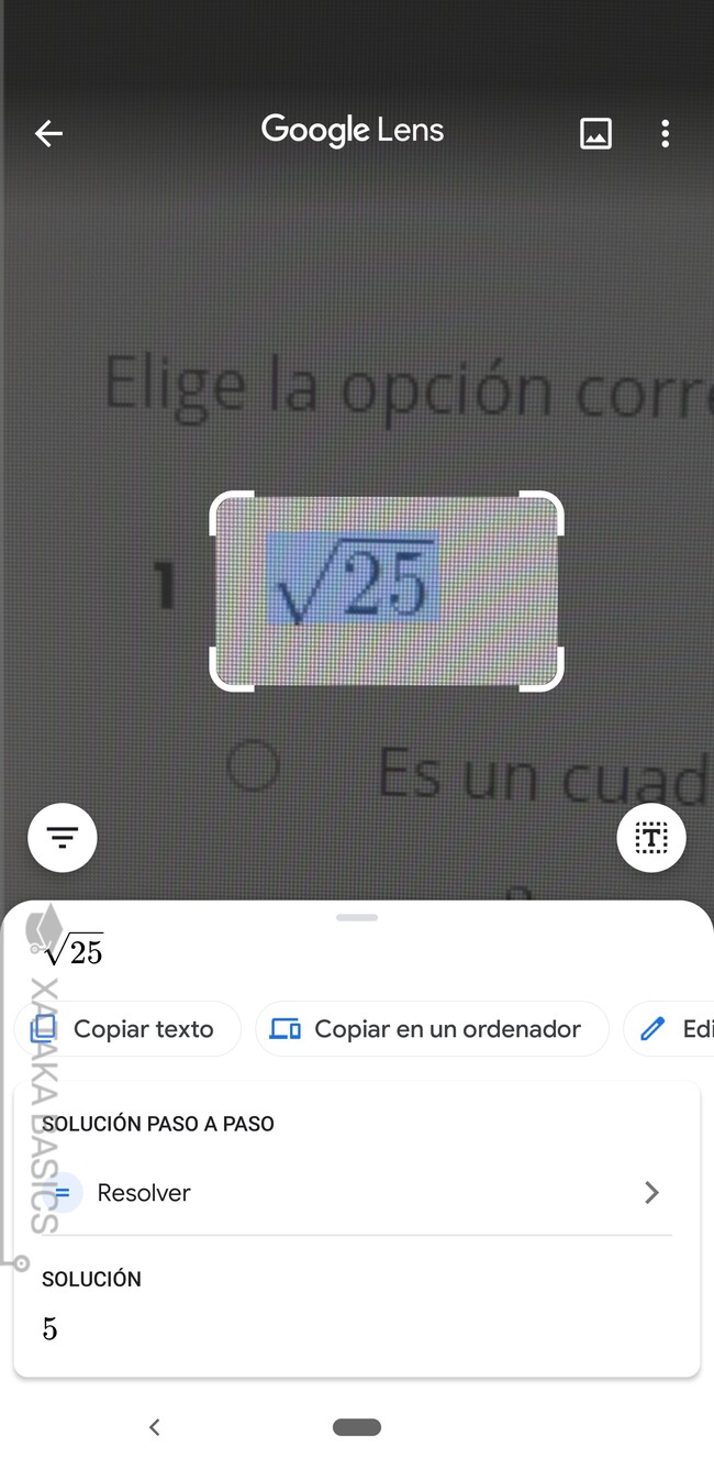Google Lens: todo lo que puedes hacer con la aplicación de Google