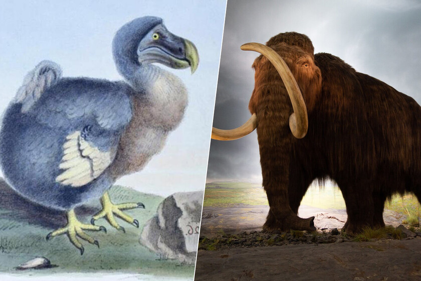 La empresa que promete resucitar al mamut está haciendo lo que mejor ...