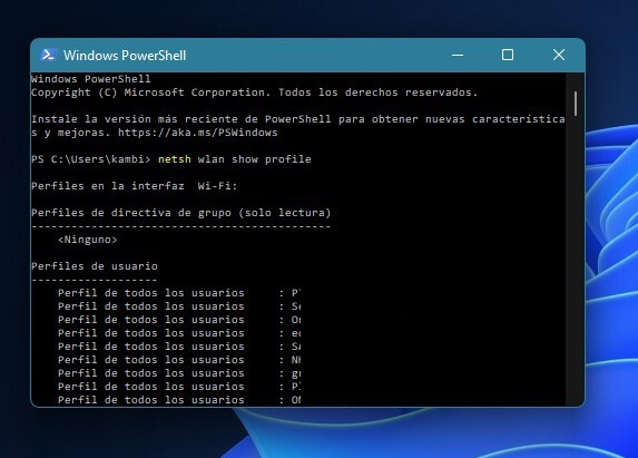 Cómo ver la contraseña de WiFi guardada en Windows 11 sin instalar programas
