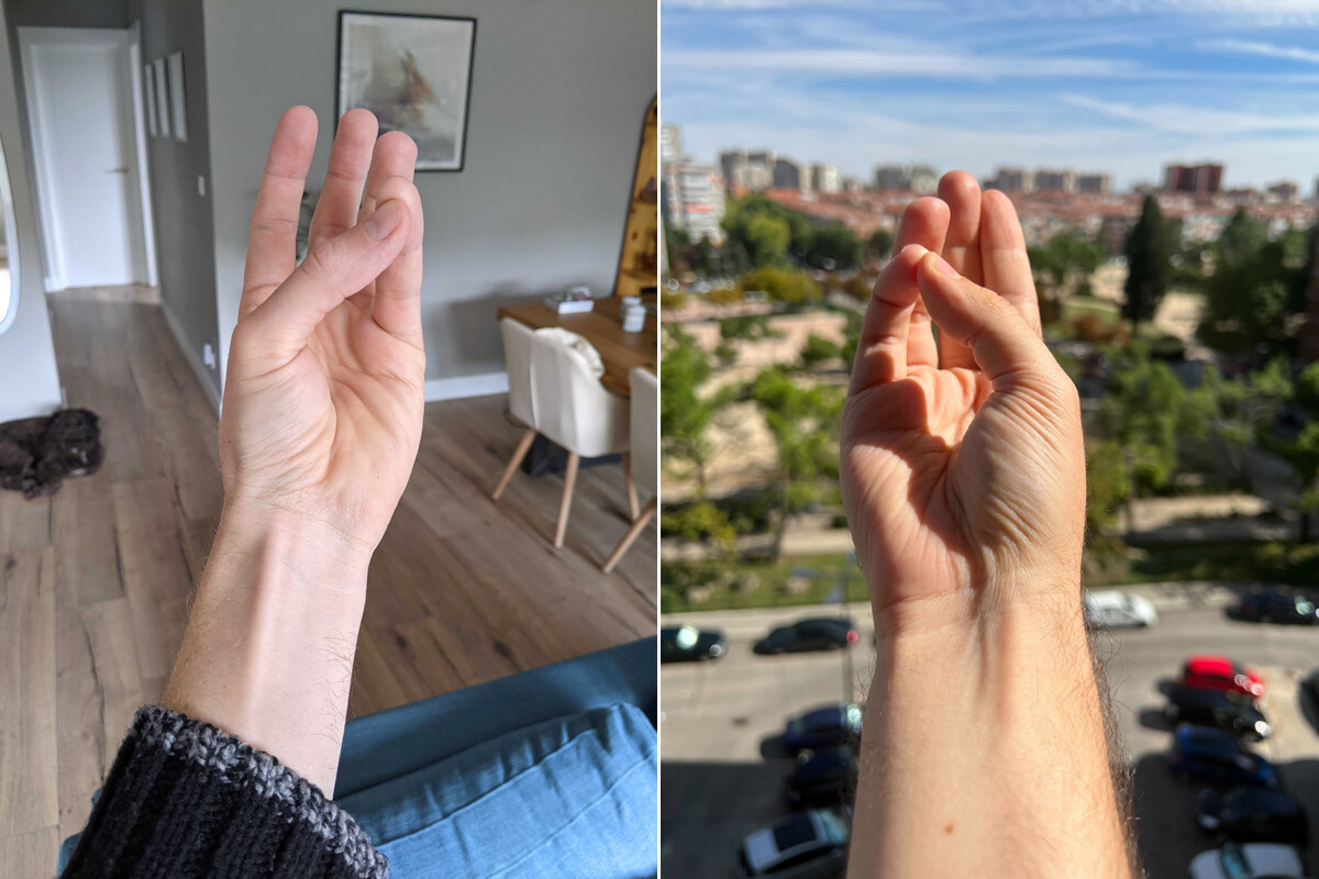 El 14% de la humanidad ya no tiene este músculo: así es como la ...