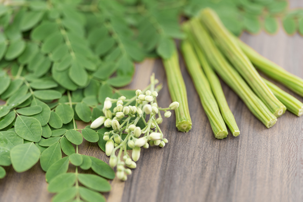 Todo sobre la moringa: propiedades, beneficios y su uso en la cocina