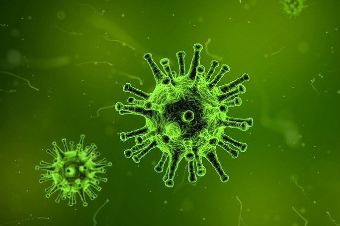 Ya podemos declarar oficialmente que la polio tipo 3 ha sido erradicada ...