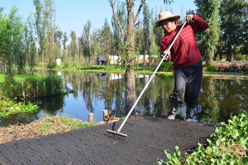 que son las chinampas y cual es su método de agricultura