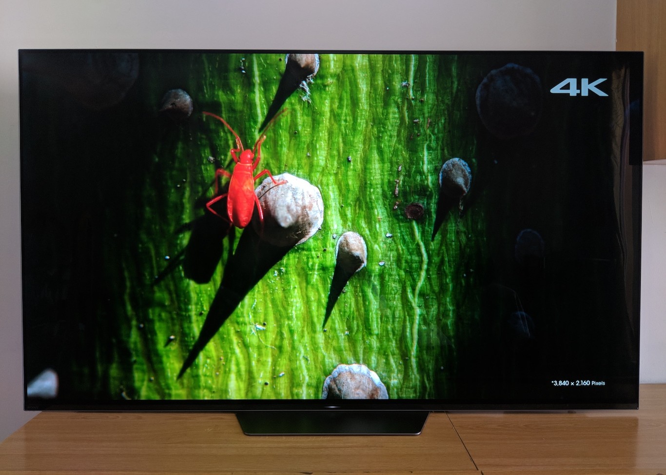 Sony AF8 OLED, análisis: review con características, precio y ...