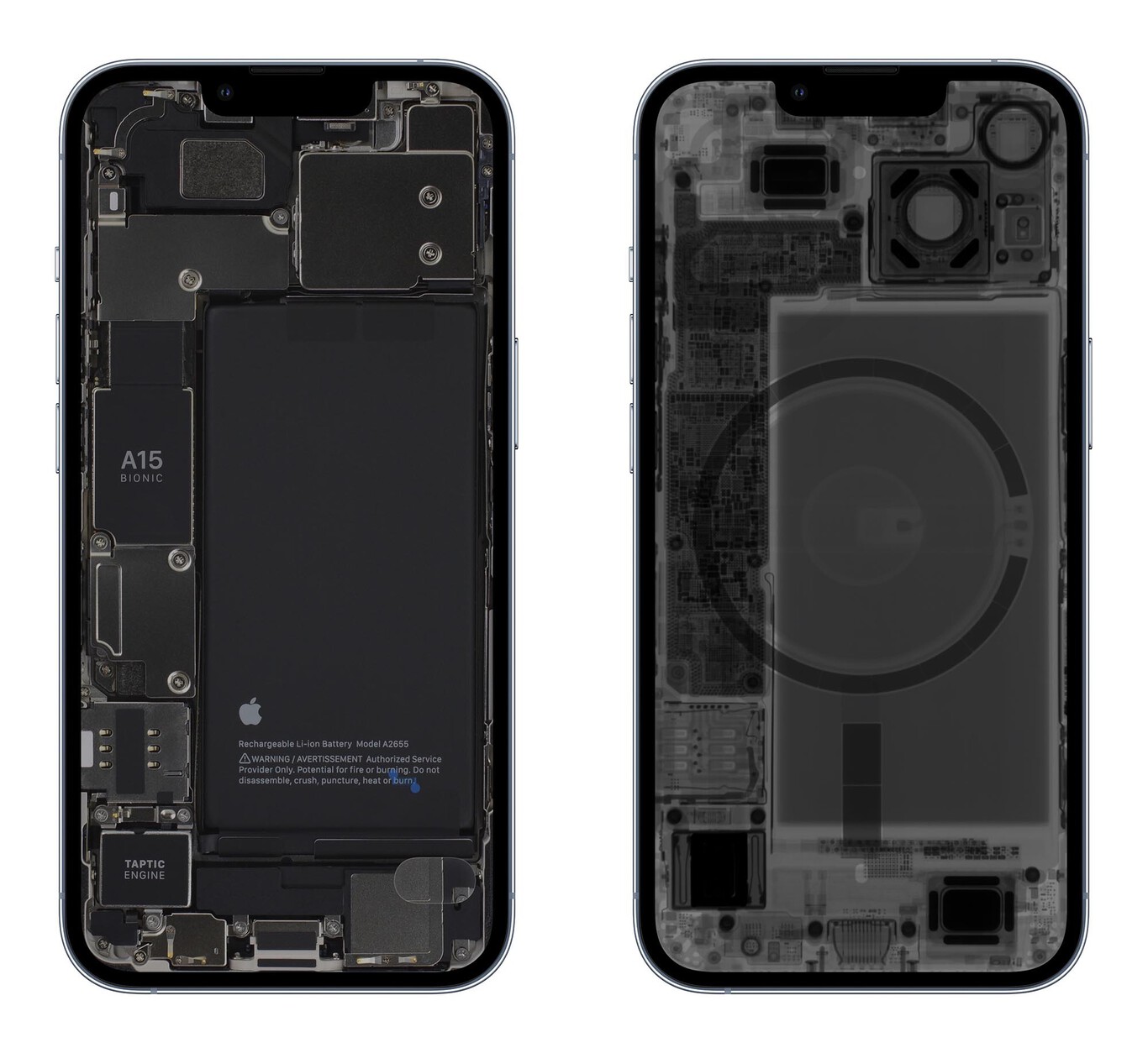 Cuando la belleza está en en interior: el iPhone 13 se vuelve ...