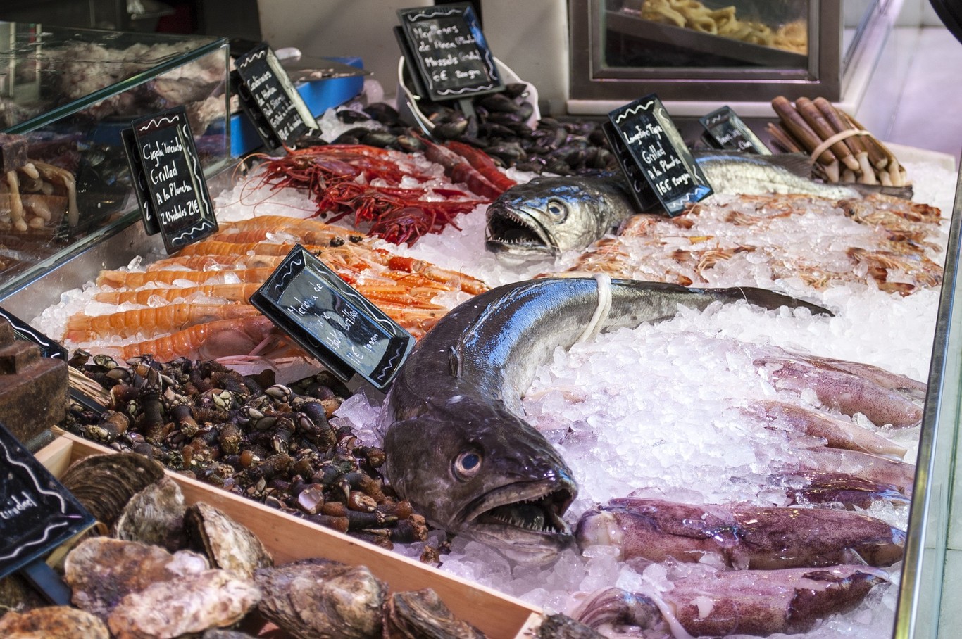 El pescado sostenible es malo para el medio ambiente