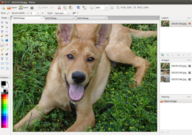 Siete alternativas a Paint para macOS
