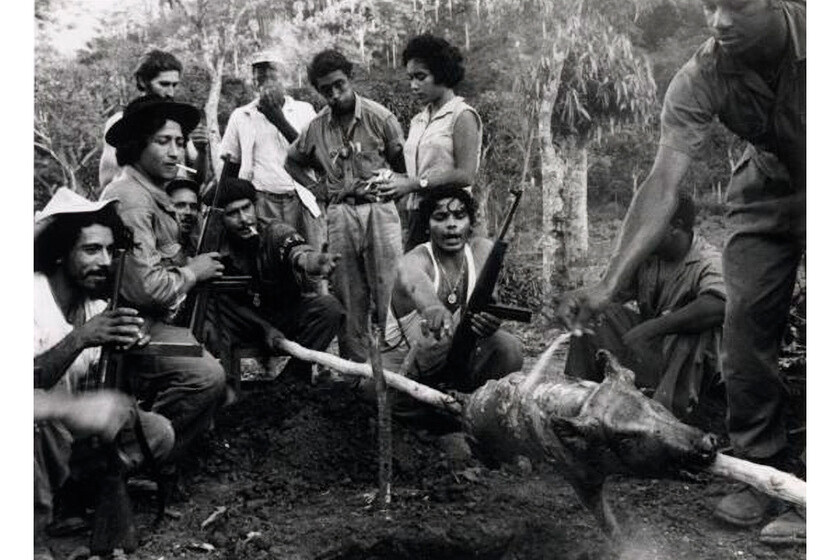 Serpiente asada y gachas de plátano: así es el recetario que el Che ...