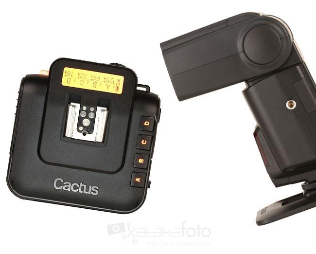 Cactus V6 y Cactus RF60, análisis