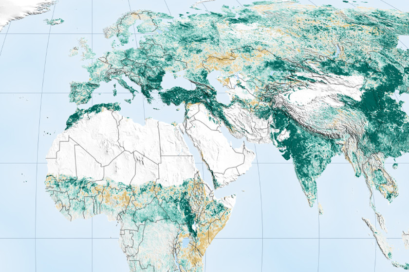 El mundo hoy es un lugar más verde que hace veinte años. Este mapa ...