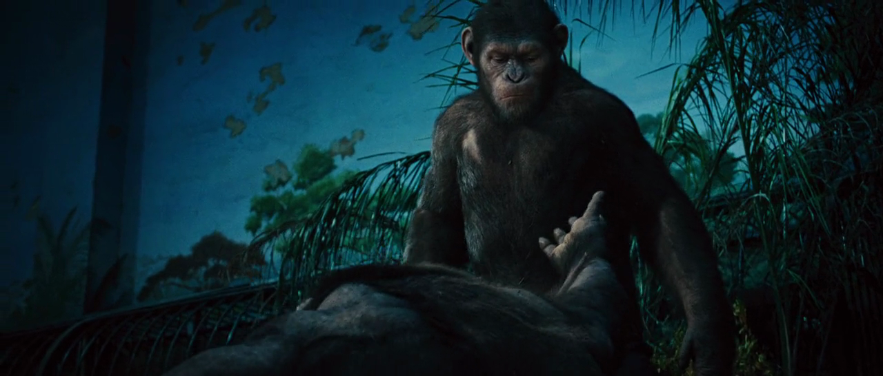 Los 26 mejores momentos de la nueva saga de 'El planeta de los simios'