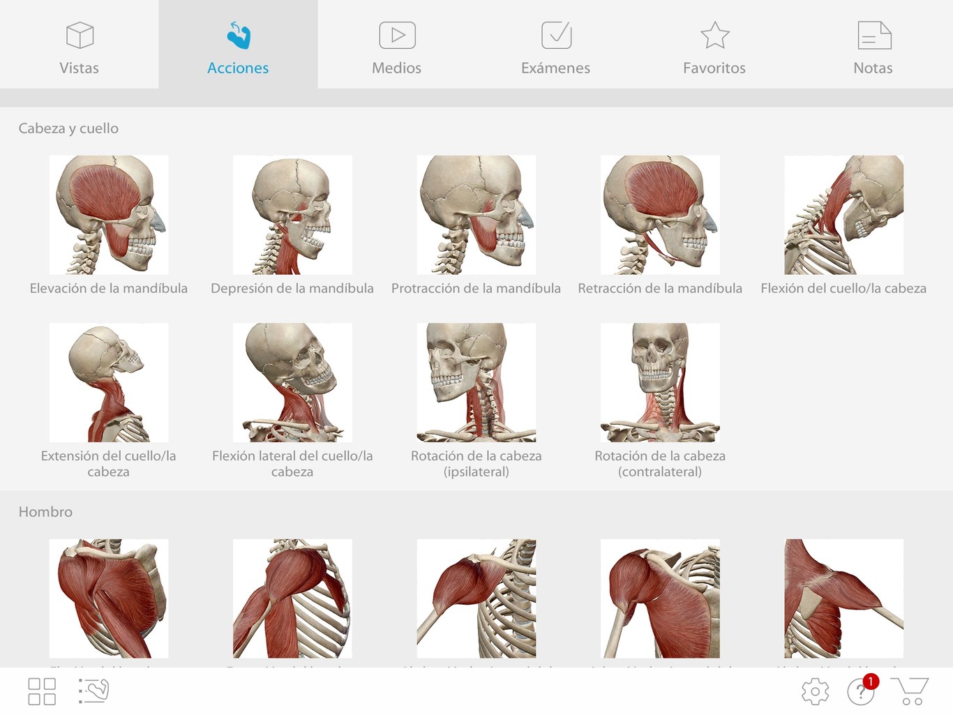 iPad 2018: análisis, precio y valoración de sus características