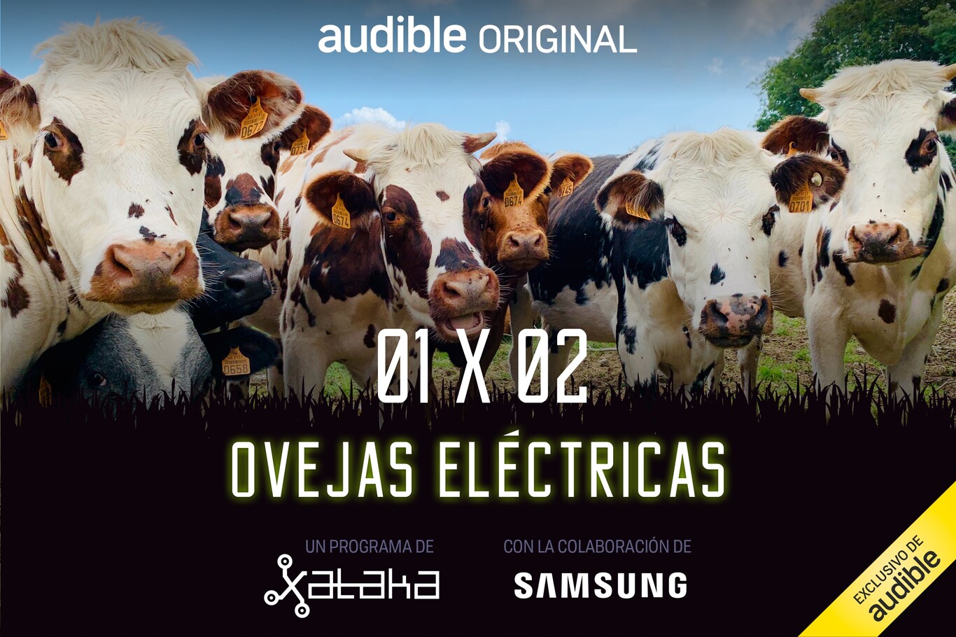 Presentamos el podcast Ovejas Eléctricas: el futuro de la tecnología ya está aquí, escúchalo con ...