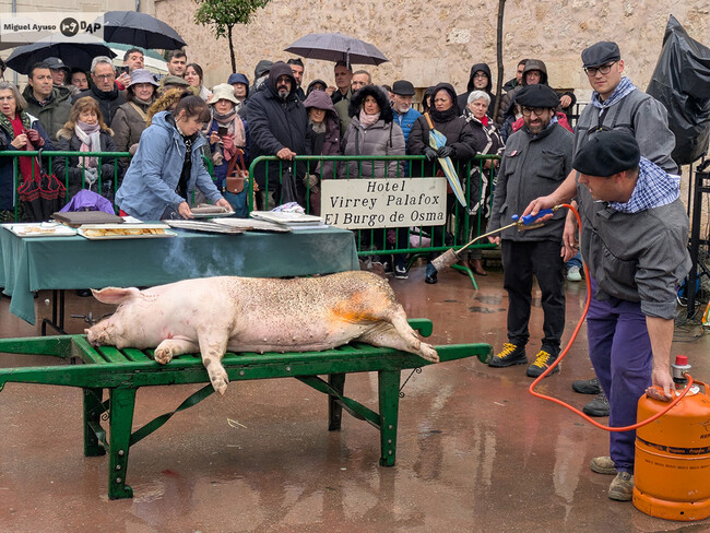 Cómo sobrevivir al festín más salvaje de España: un día en las Jornadas ...