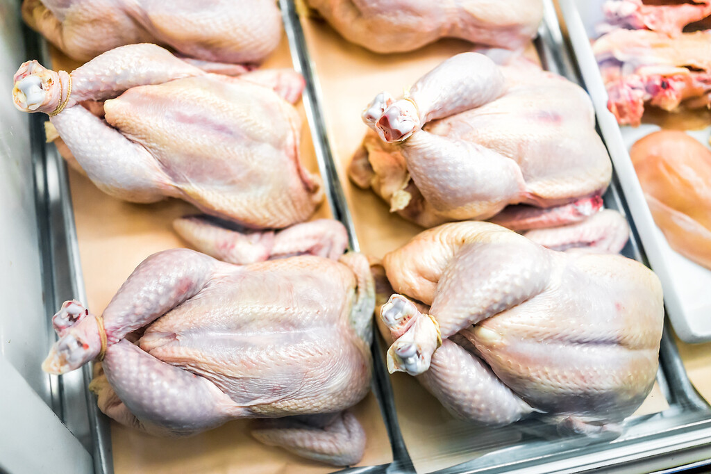Pollo ¡Todo lo que debes saber + 508 recetas fáciles y saludables ...