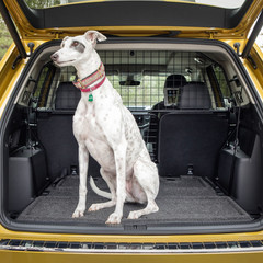 Volkswagen Atlas Weekend Edition: un SUV de siete plazas en versión ...