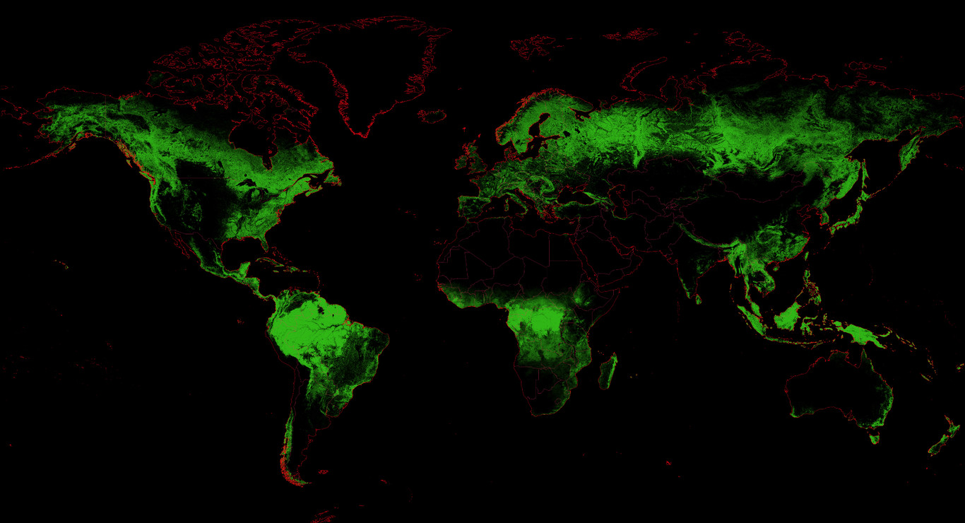 Todos los bosques del planeta, ilustrados en estos fantásticos mapas