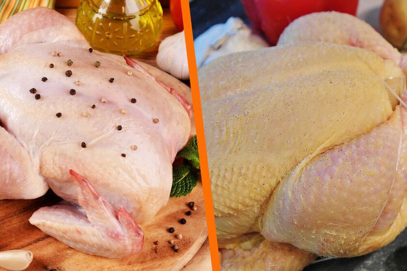 Cuál es el pollo más saludable: ¿el amarillo o el blanco? Esto dicen ...