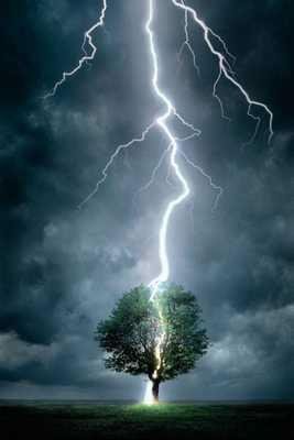 ¿Quién tiene más probabilidades de ser alcanzado por un rayo, ¿un ...